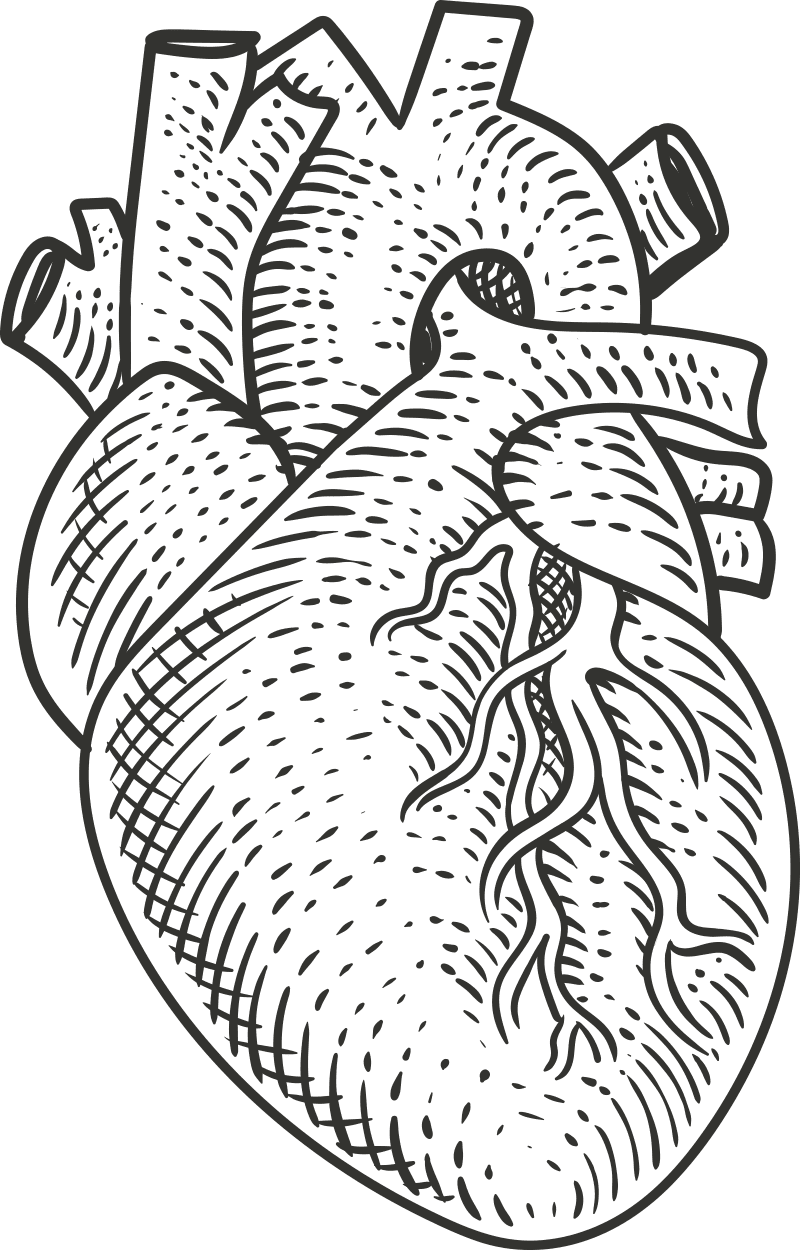 Editora Plural – Conectamos leitores a escritores, tornando o seu mundo mais plural.